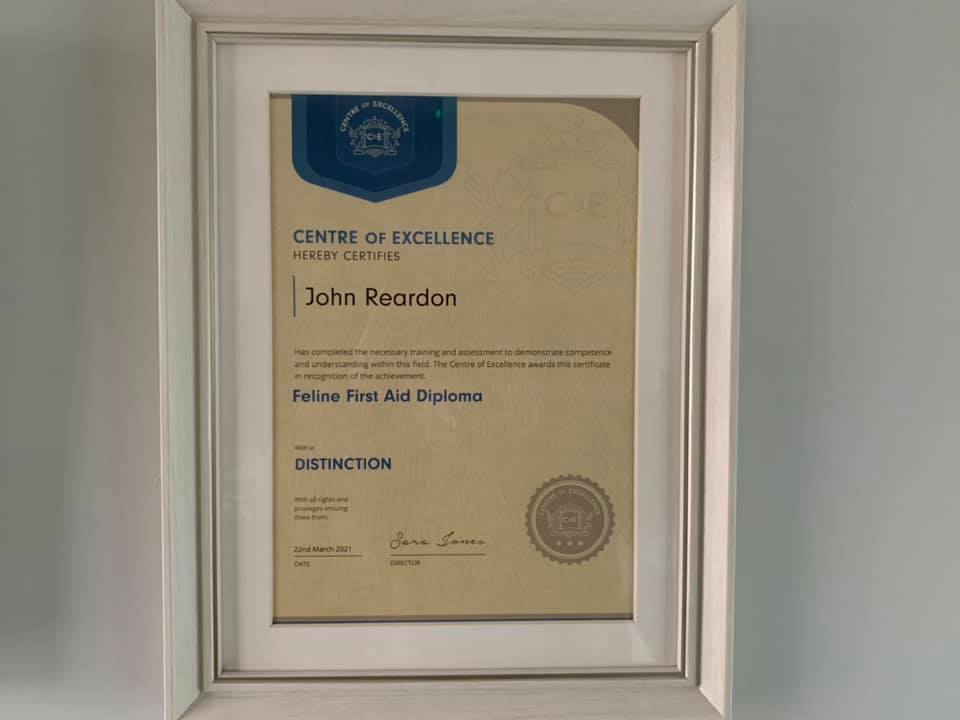 Feline First Aid Diploma - Cedar Lodge Cattery